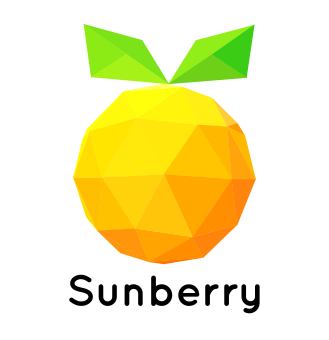 Sunberry - chauffage solaire DIY